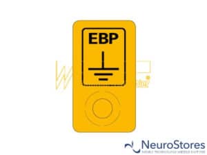 EBP (Earth Bonding Point) - Label - NeuroStores